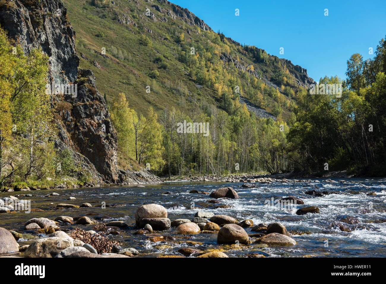 Fast mountain river in Altay Stock Photo - Alamy