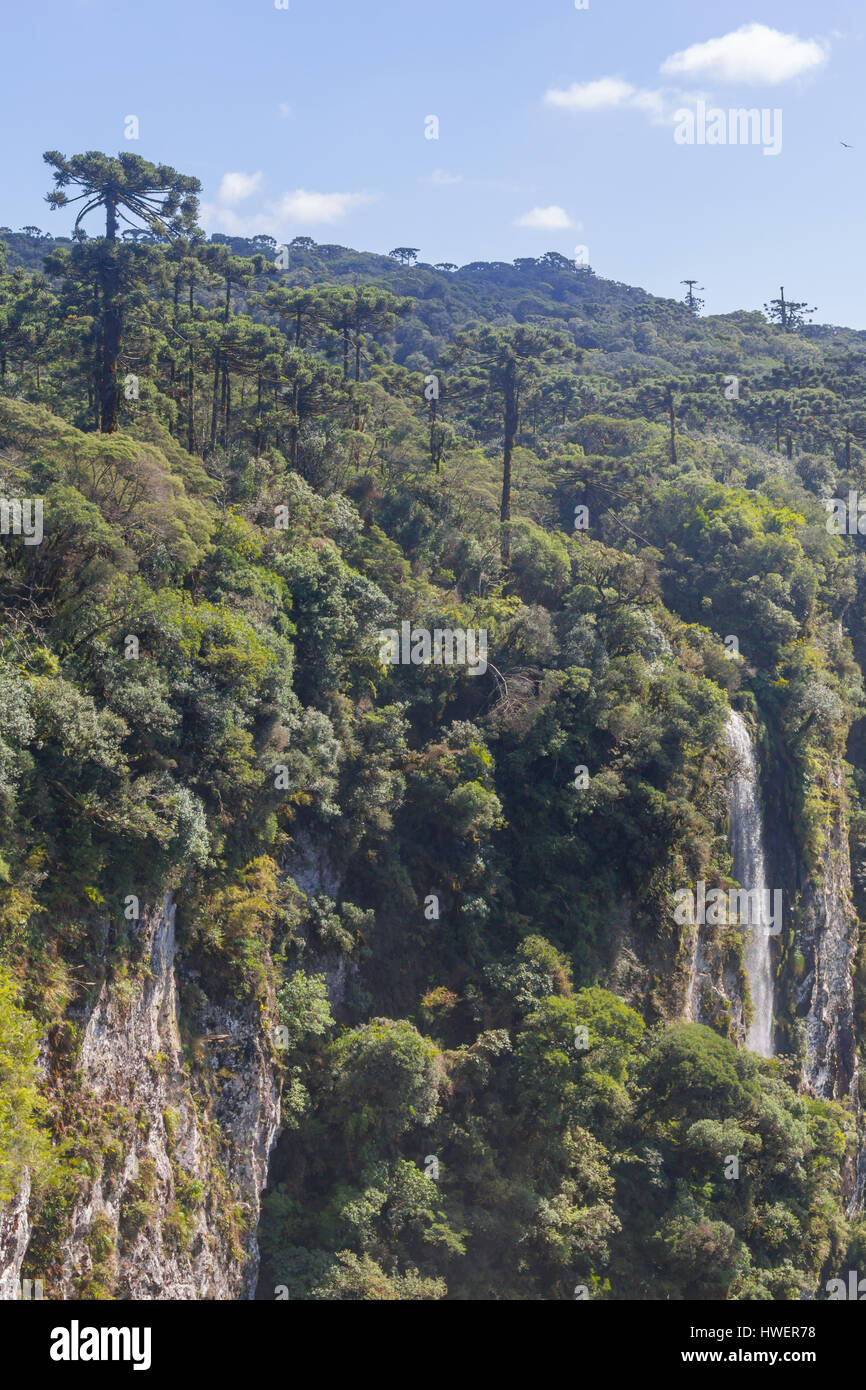Waterfall at Itaimbezinho Canyon, Cambara do Sul, Rio Grande do Sul ...