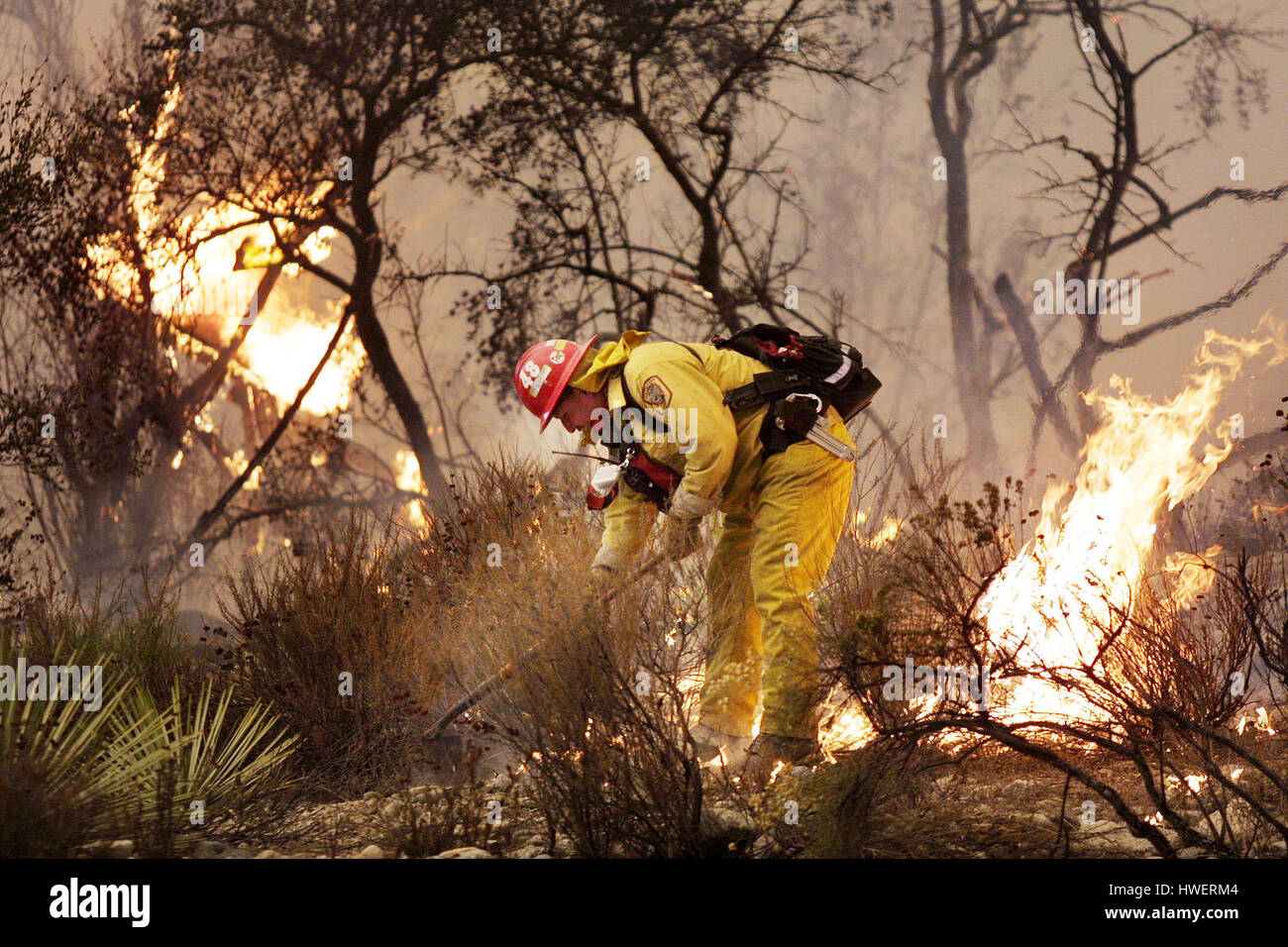 A firefighter tries to shovel hotspots with a shovel during a wildfire ...