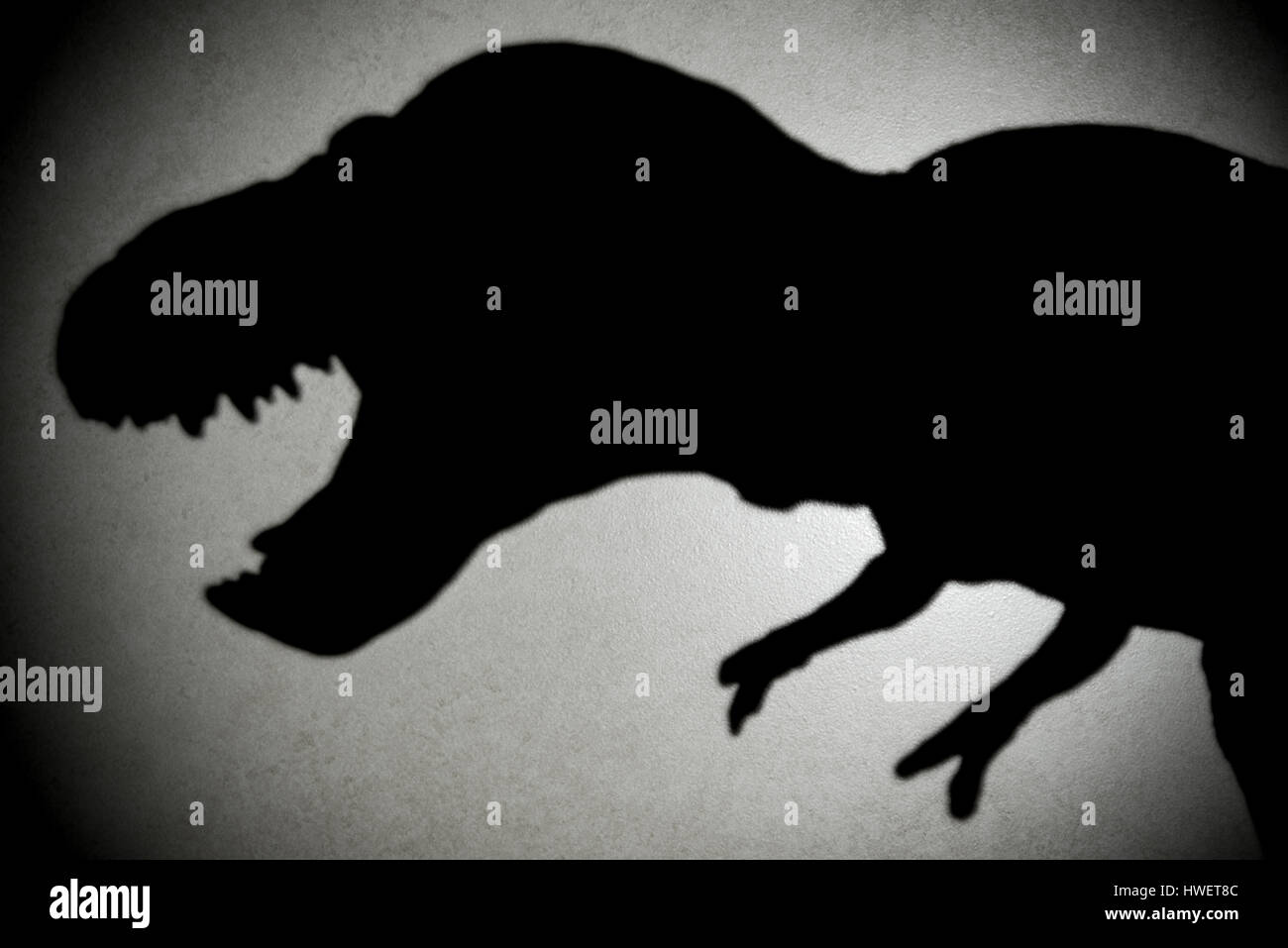 tyrannosaurus shadow with spot light in dark Stock Photo - Alamy