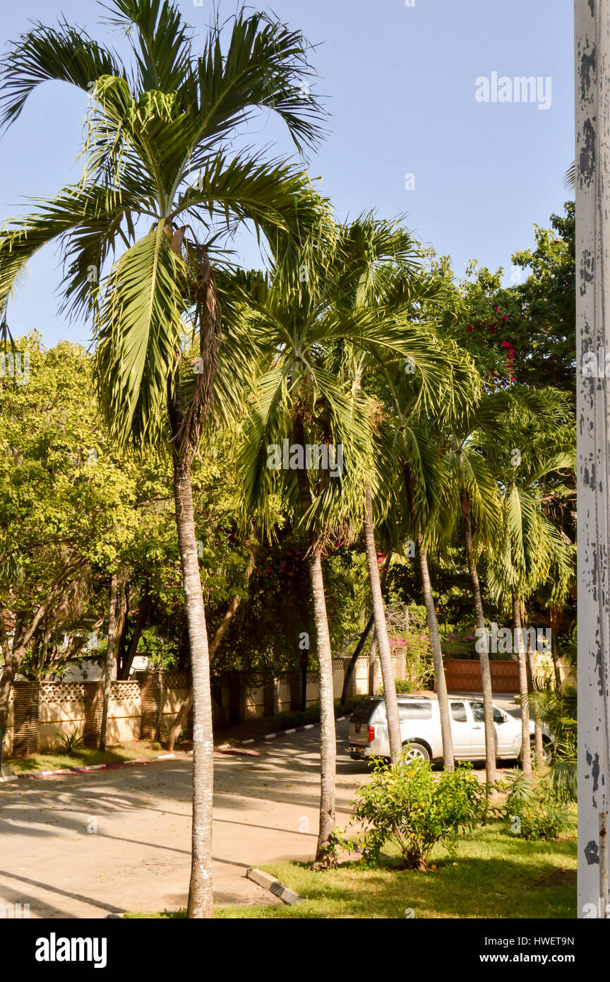 Along mombasa road hi-res stock photography and images - Alamy