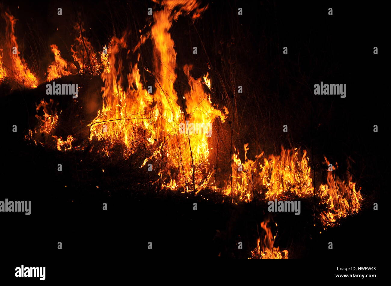 Various colors furious fire wasteland in front of them all, Novi Sad ...