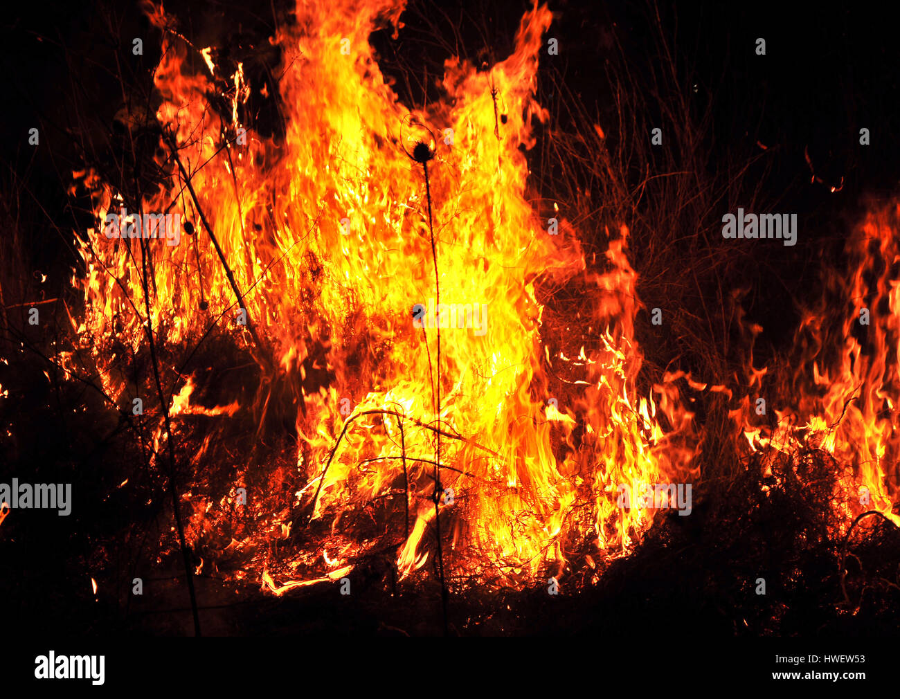 Various colors furious fire wasteland in front of them all, Novi Sad ...