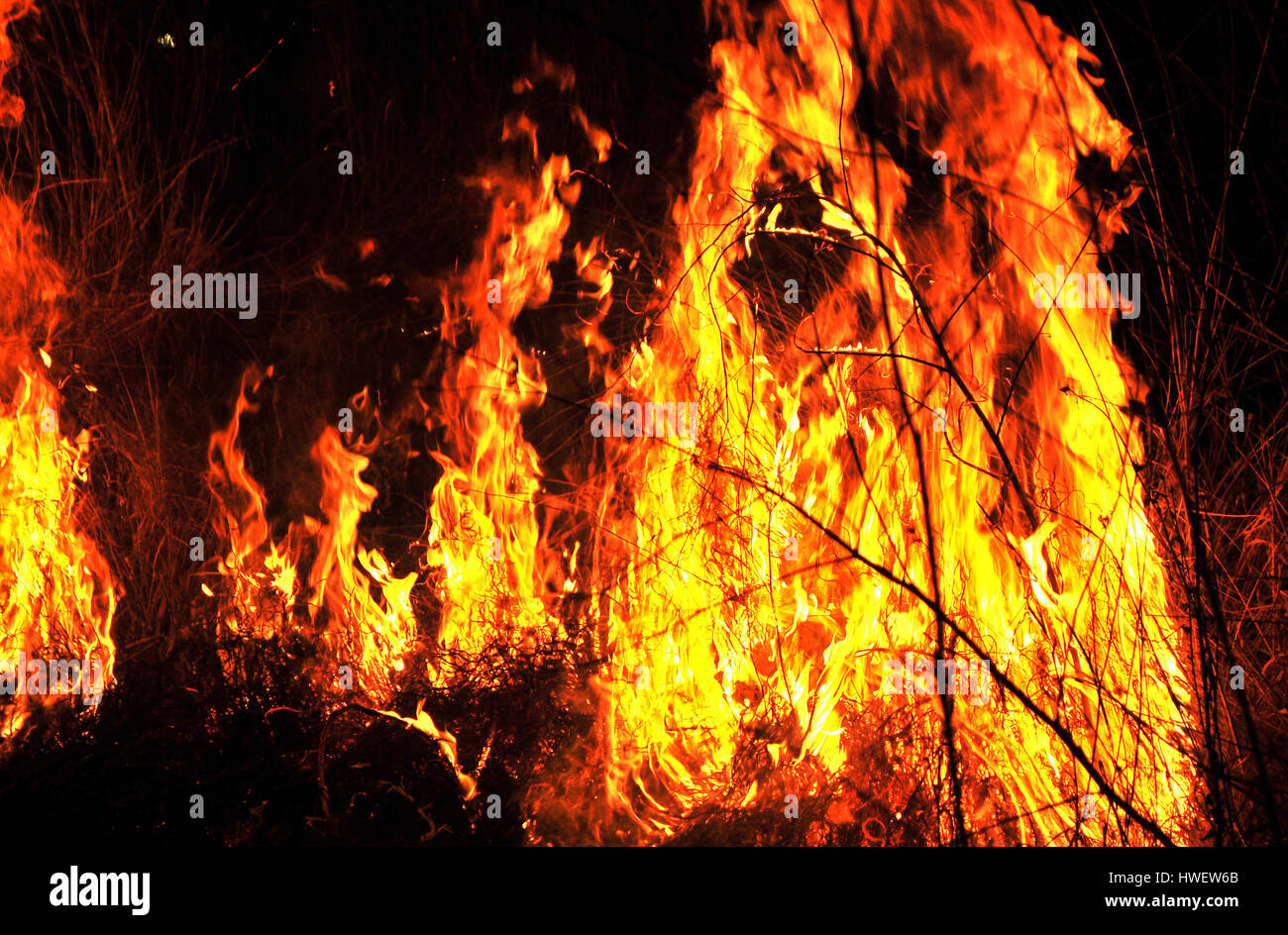 Various colors furious fire wasteland in front of them all, Novi Sad ...