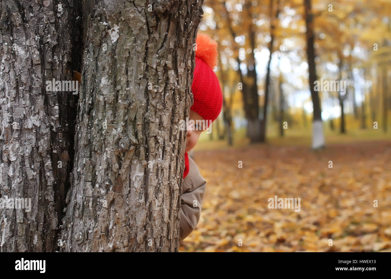 Child hide behind leaf hi-res stock photography and images - Alamy