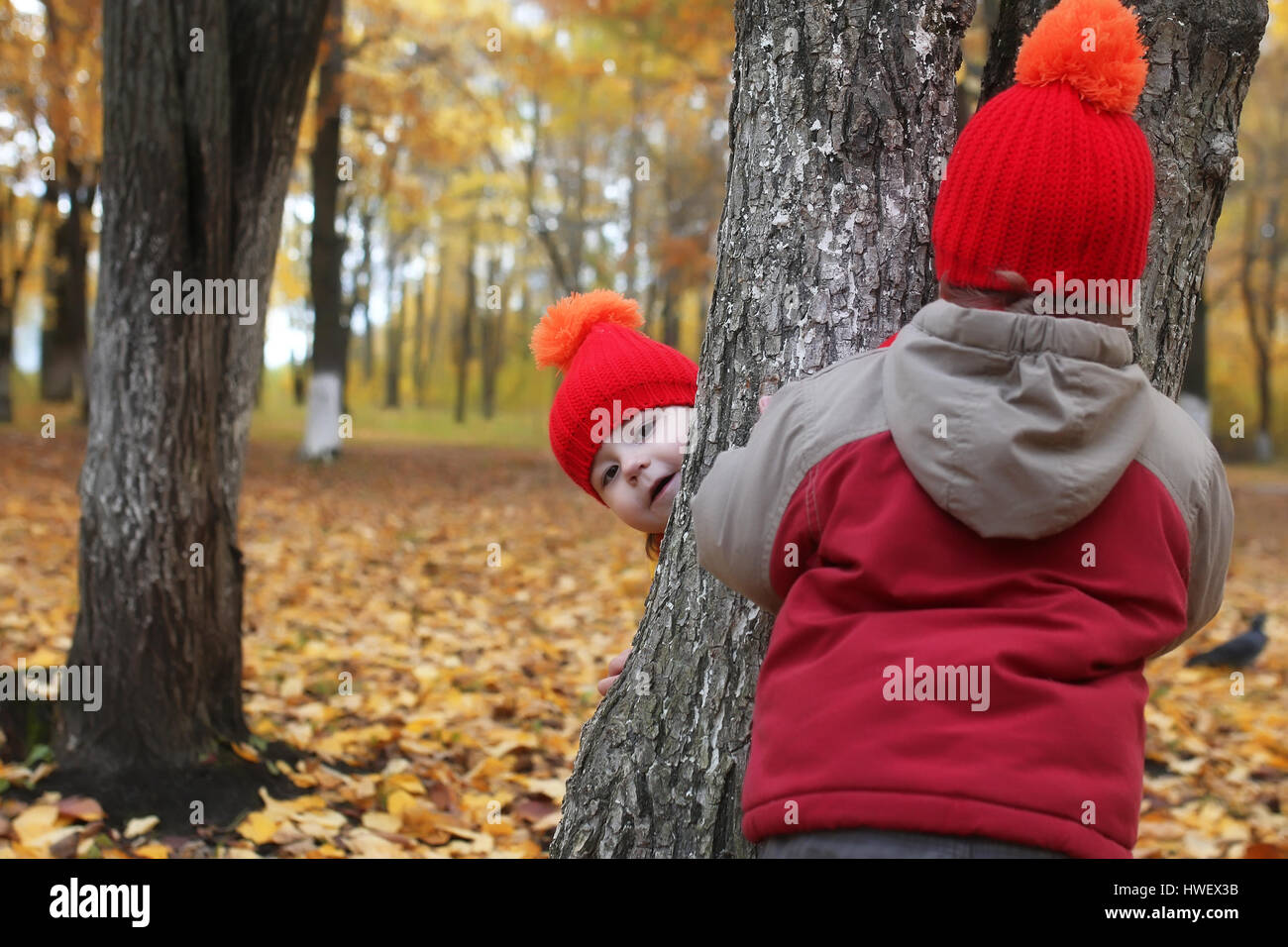 Child hide behind leaf hi-res stock photography and images - Alamy