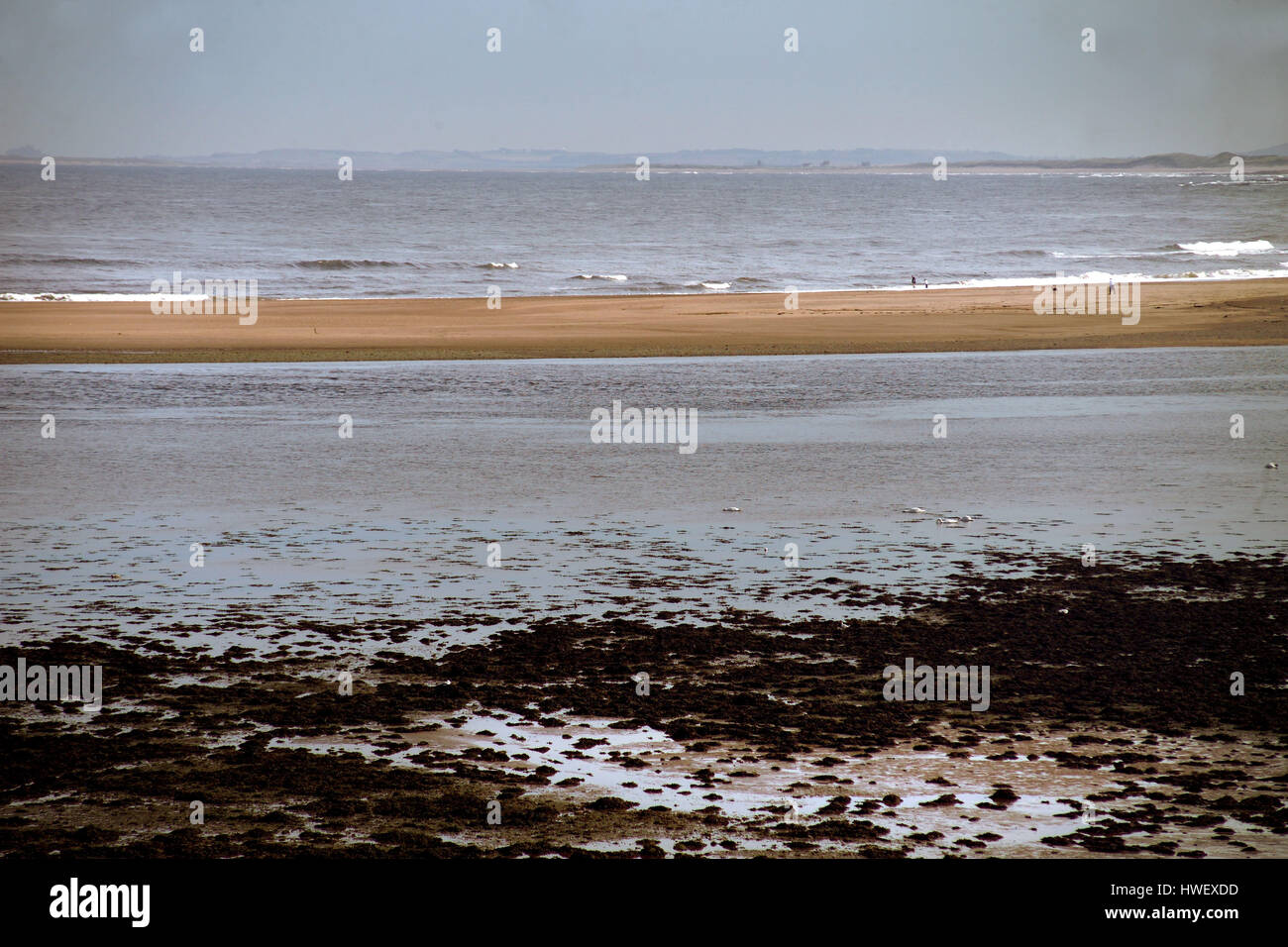 The beach at Berwick-upon-Tweed Stock Photo - Alamy