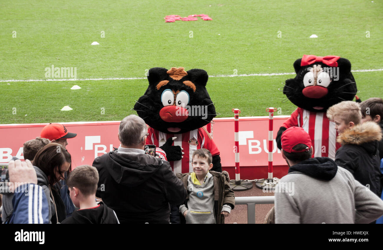 Football mascots hi-res stock photography and images - Alamy