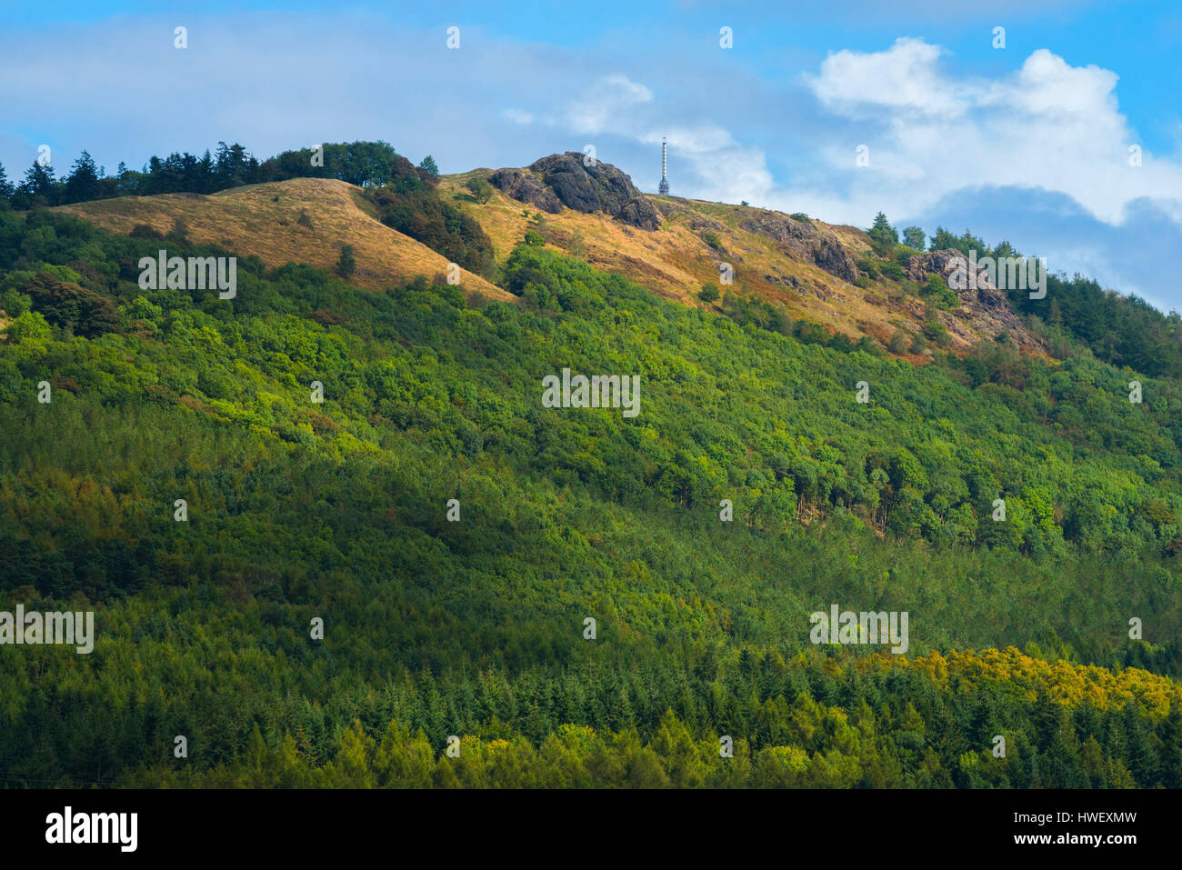 Woodland trees on hillside slopes hi-res stock photography and images ...
