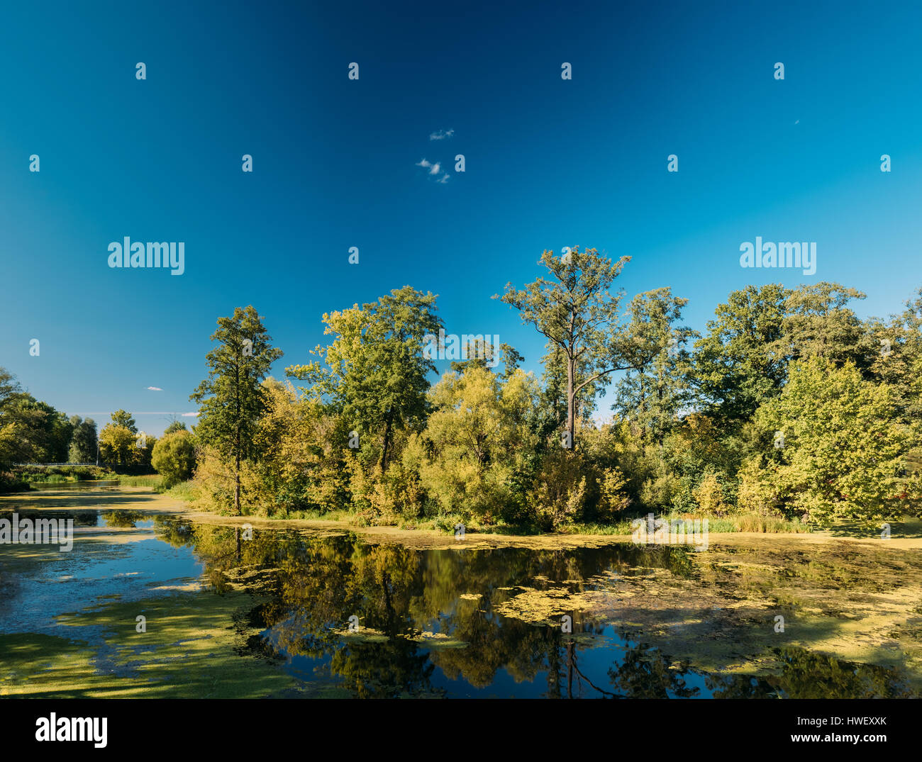Landscape With Lake Pond River At Summer Sunny Evening. Nature Of ...
