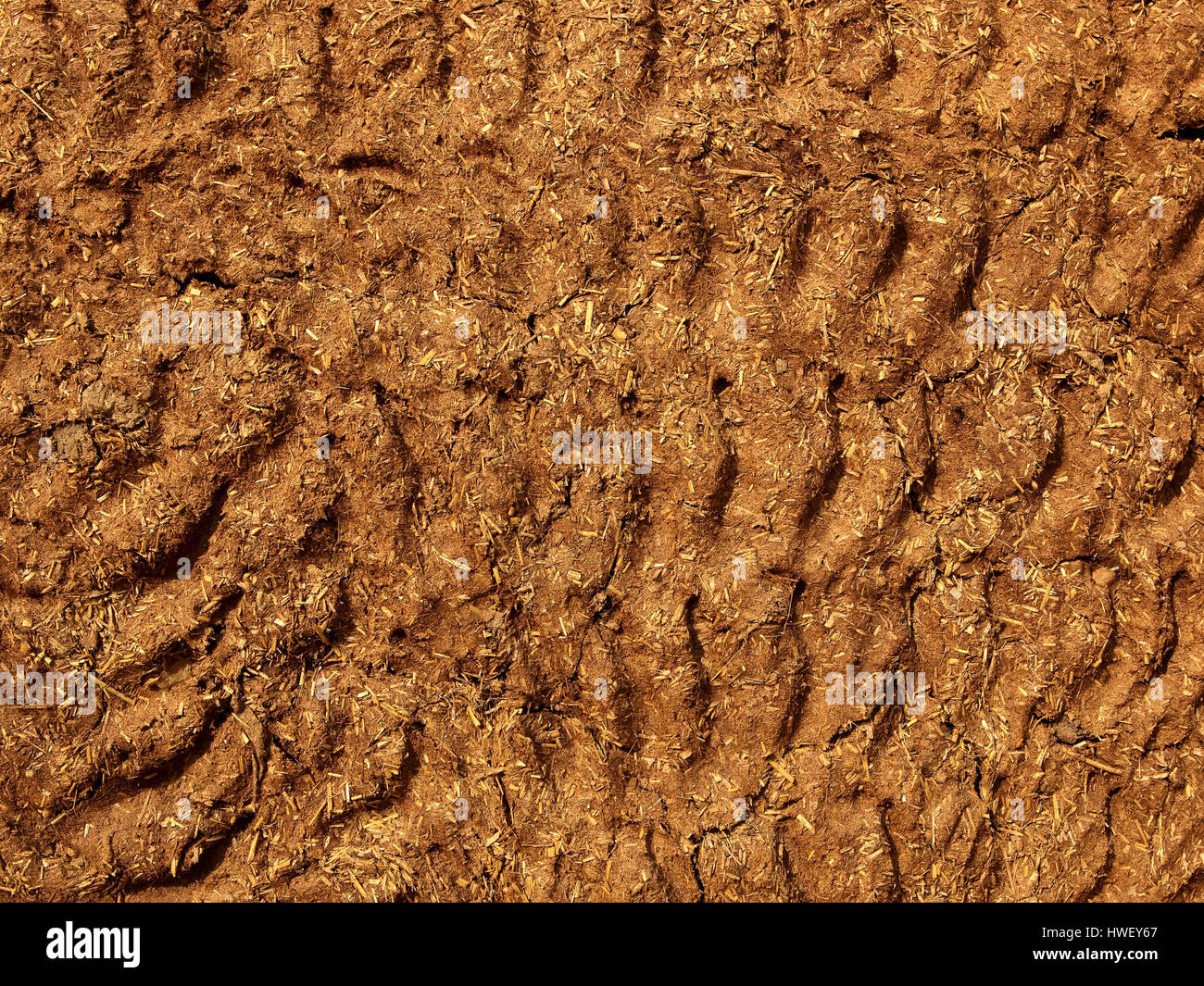 Cow dung wall hi-res stock photography and images - Alamy