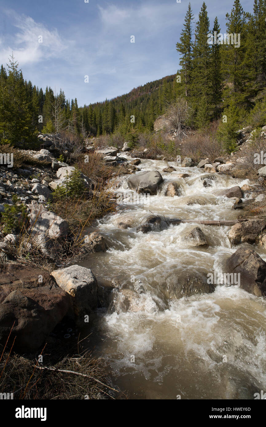 Water tumbles down Jones Creek during Spring runoff, Rocky Mountains ...