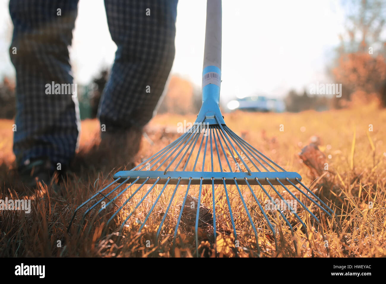 Old man raking grass hi-res stock photography and images - Alamy