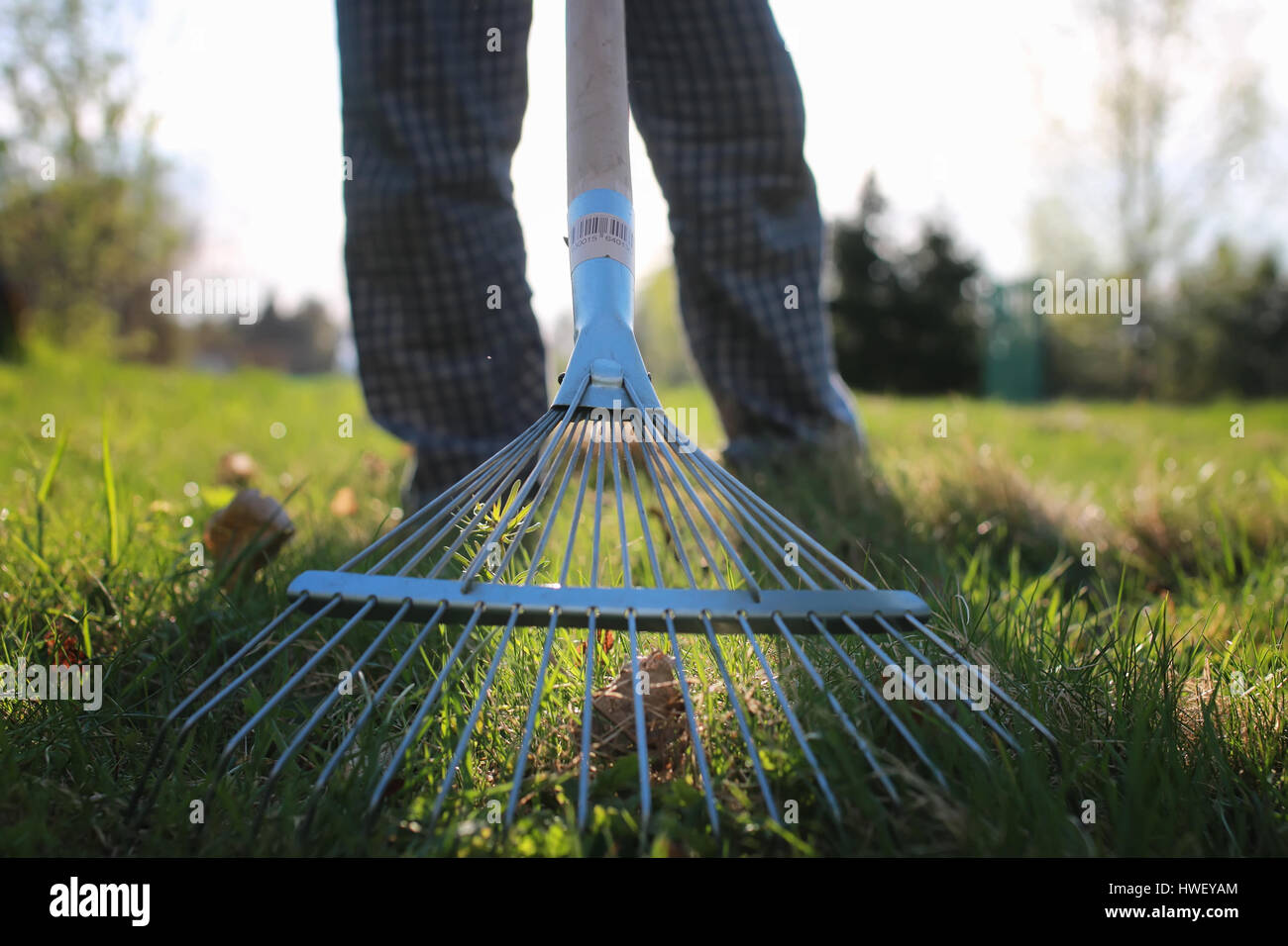 Old grass clippings hi-res stock photography and images - Alamy