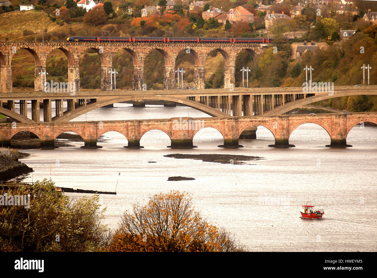 Bridges over the River Tweed, Berwick-upon-Tweed Stock Photo - Alamy