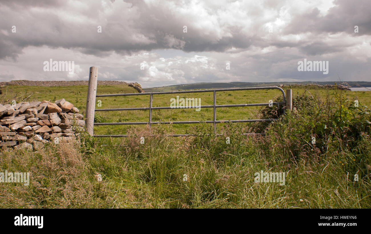 Irish country roads hi-res stock photography and images - Alamy