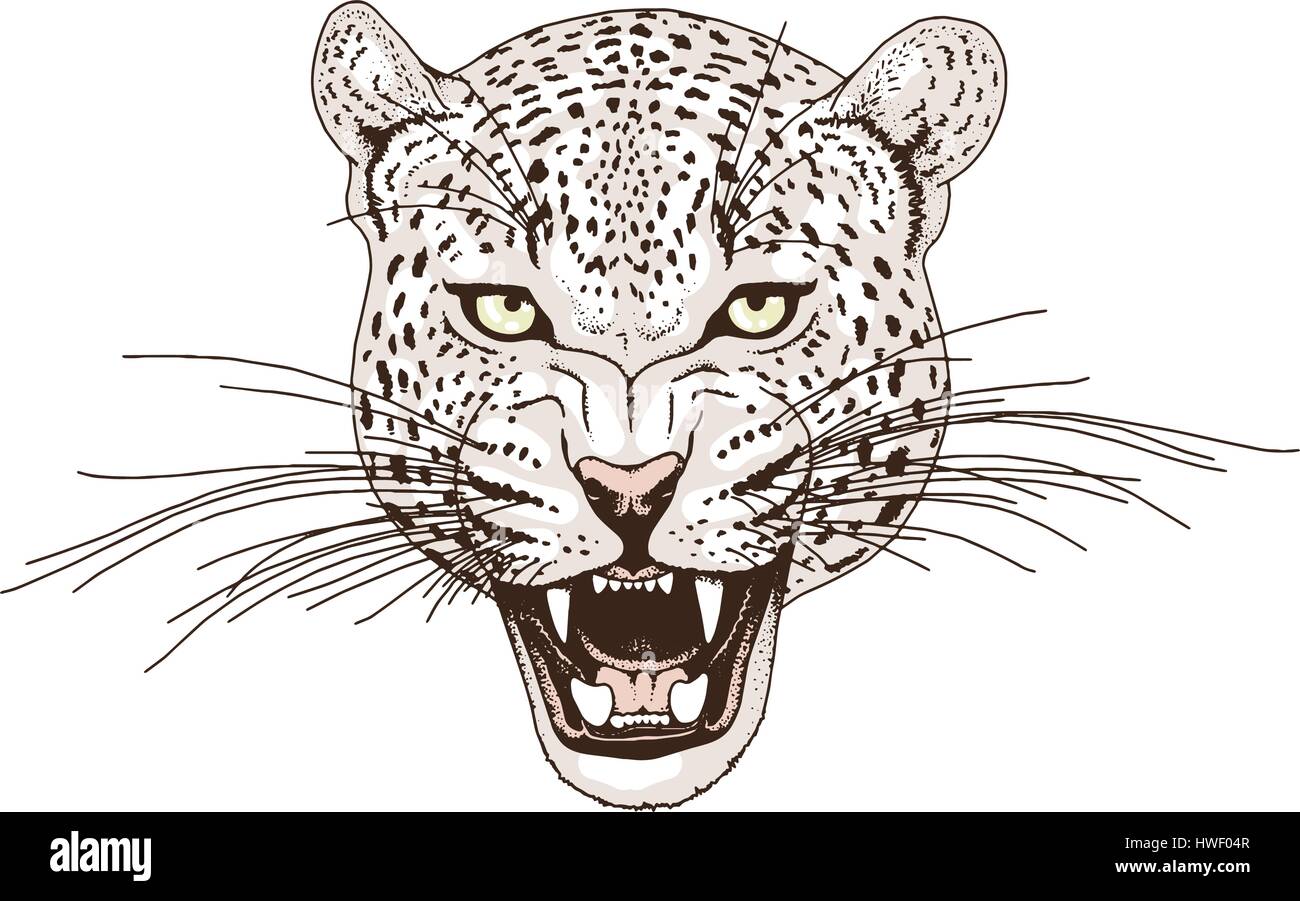 Leopard face tattoo ,Vector illustration, print Stock Vector Image ...