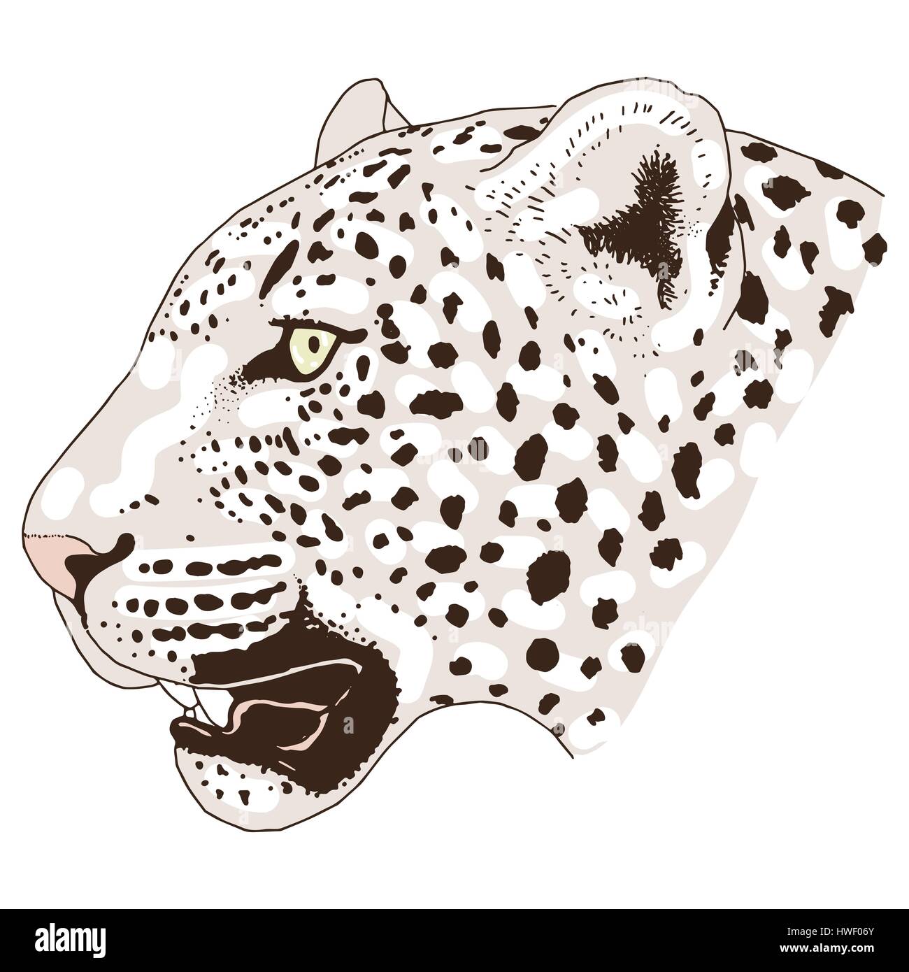 Leopard face vector illustration print Cut Out Stock Images & Pictures ...