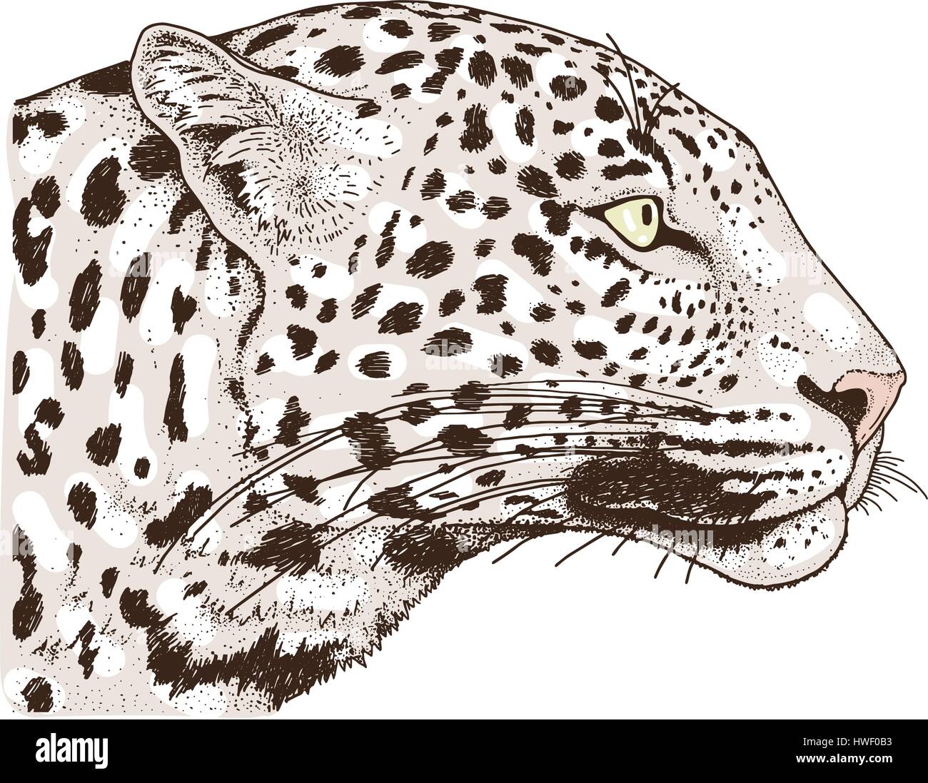 Leopard face tattoo ,Vector illustration, print Stock Vector Image ...