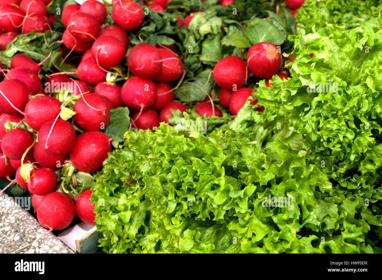A bunch of red bilberry on the table in the market, Novi Sad, Serbia ...