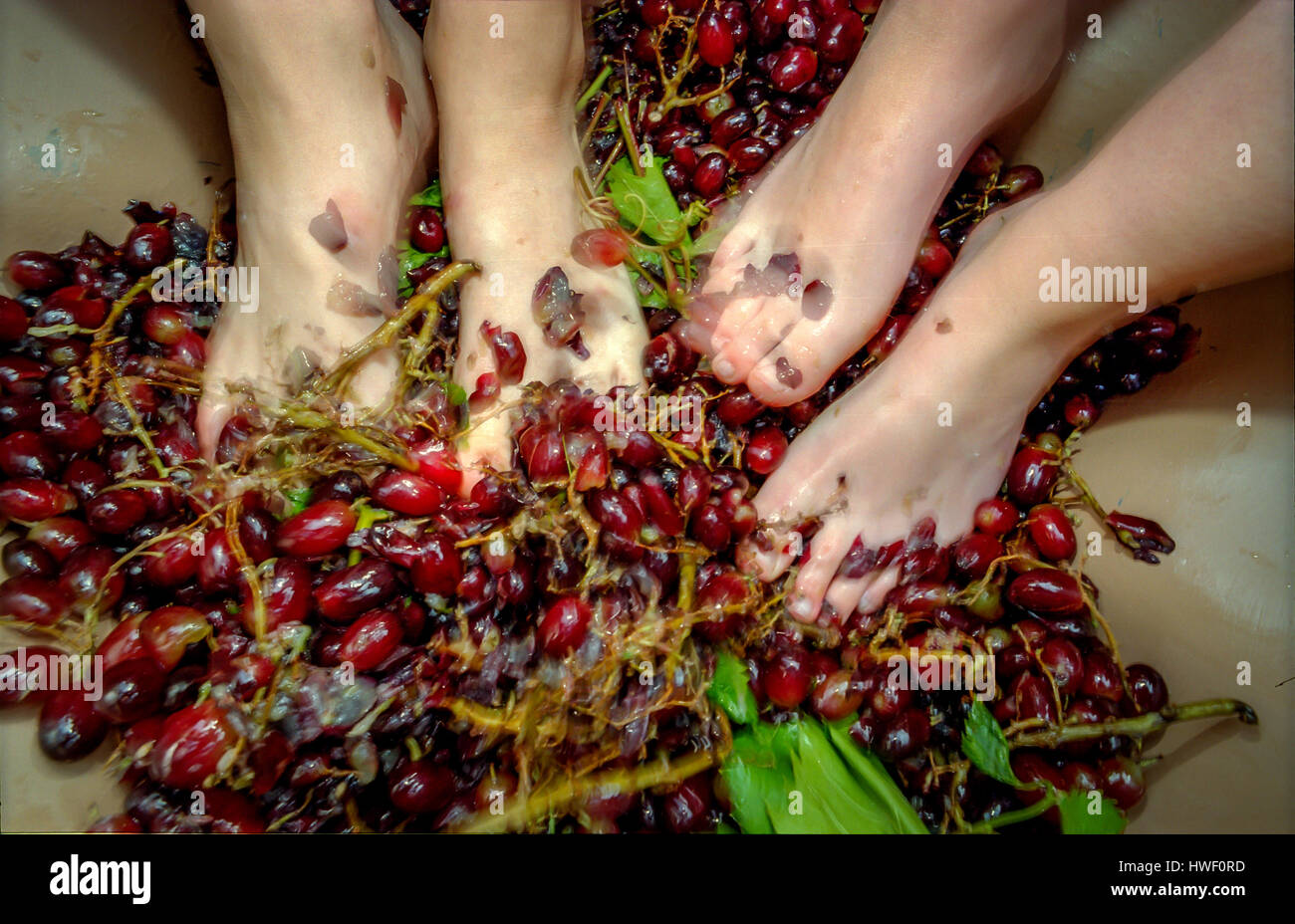 Treading grapes feet hi-res stock photography and images - Alamy