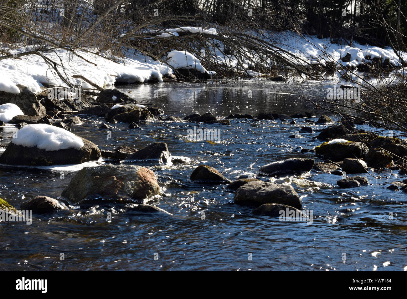 Little stream in the forest with snow in the background,picture from ...