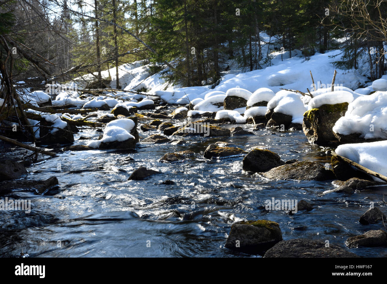 Little stream in a forest with snow ,picture from the North of Sweden ...