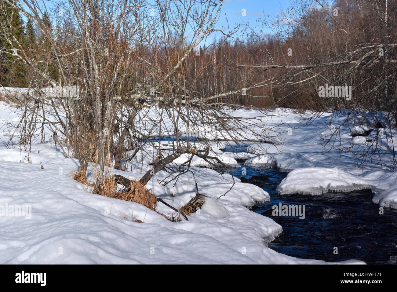 Little stream in the forest with snow on both sides,picture from the ...