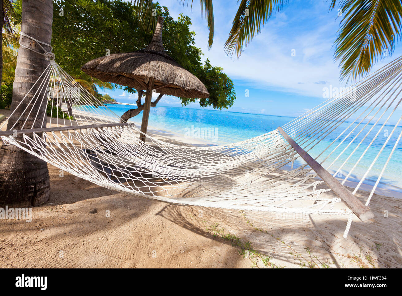 Tropical Beach Pictures Hammock