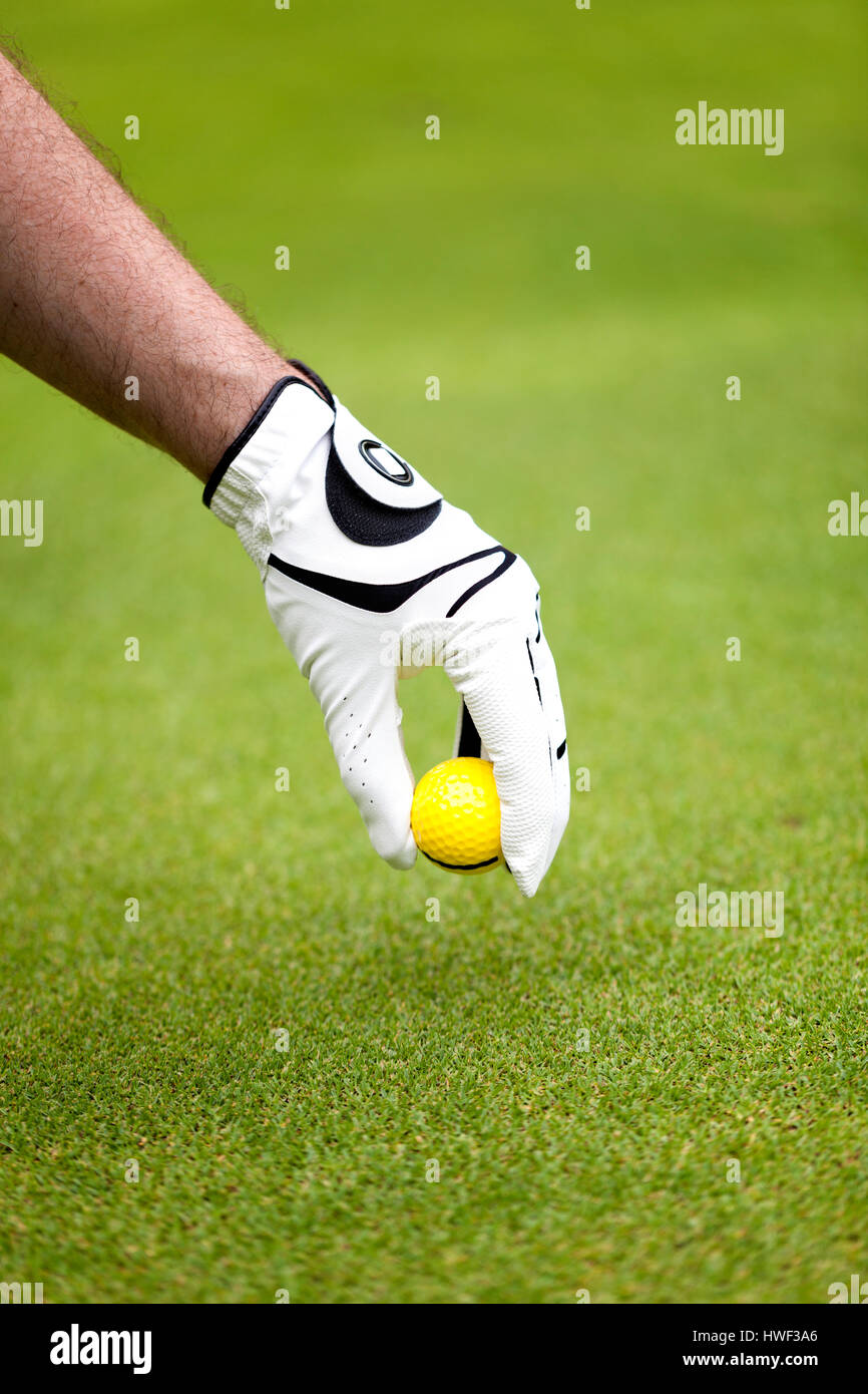Man's hand in a white glove putting a golf ball in a golf course Stock ...