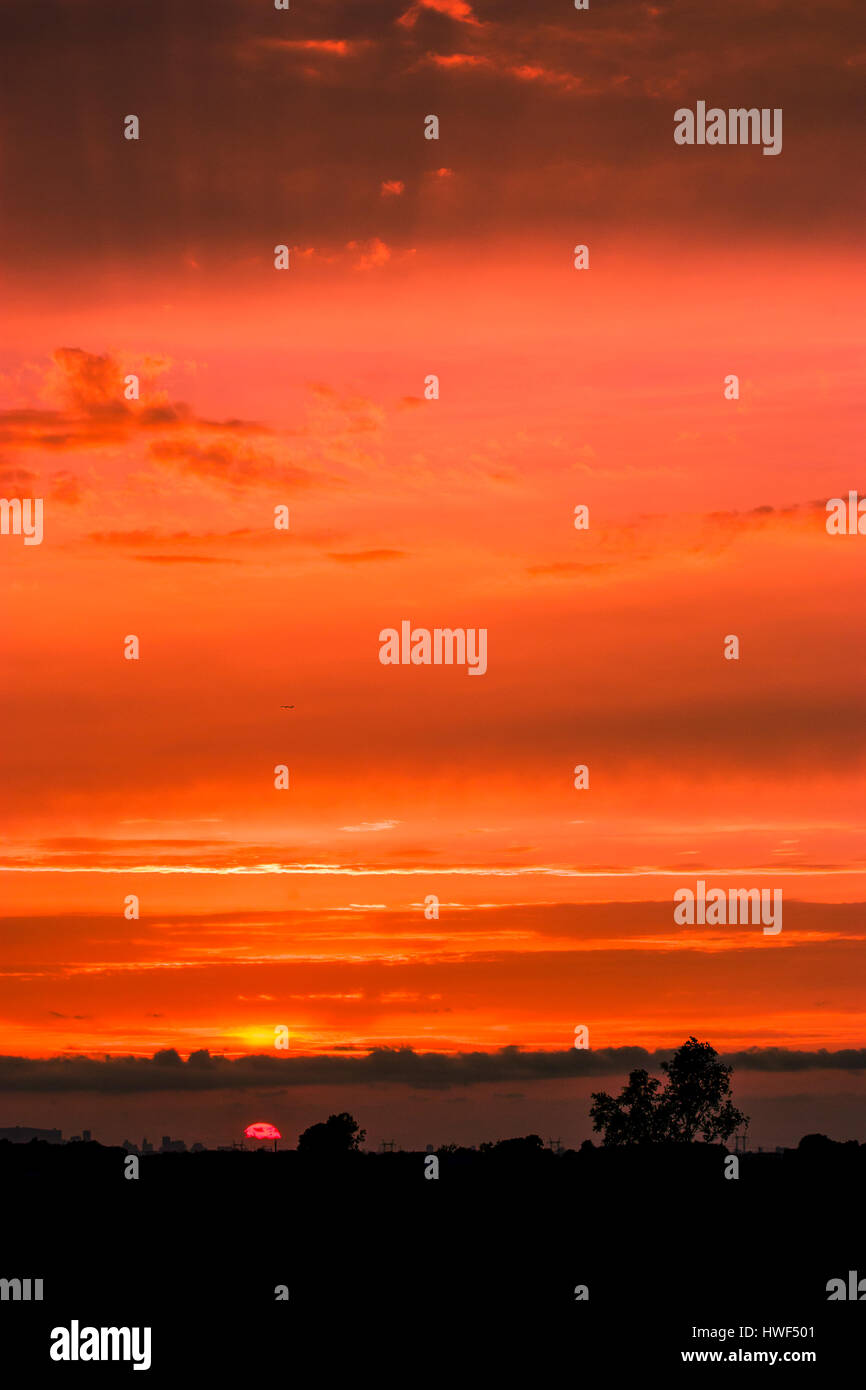 orange sunset with silhouette trees Stock Photo - Alamy