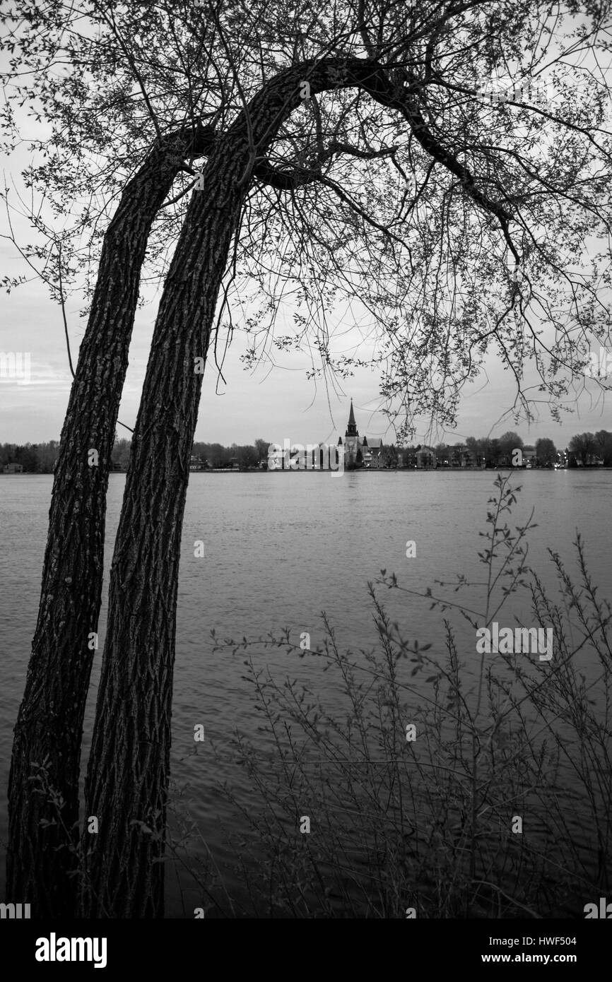 big round tree leaning over a river with a church Stock Photo - Alamy