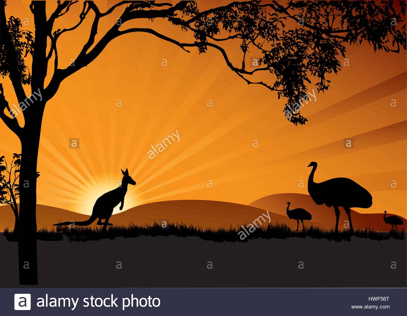 Kangaroo Emu Stock Photos & Kangaroo Emu Stock Images - Alamy