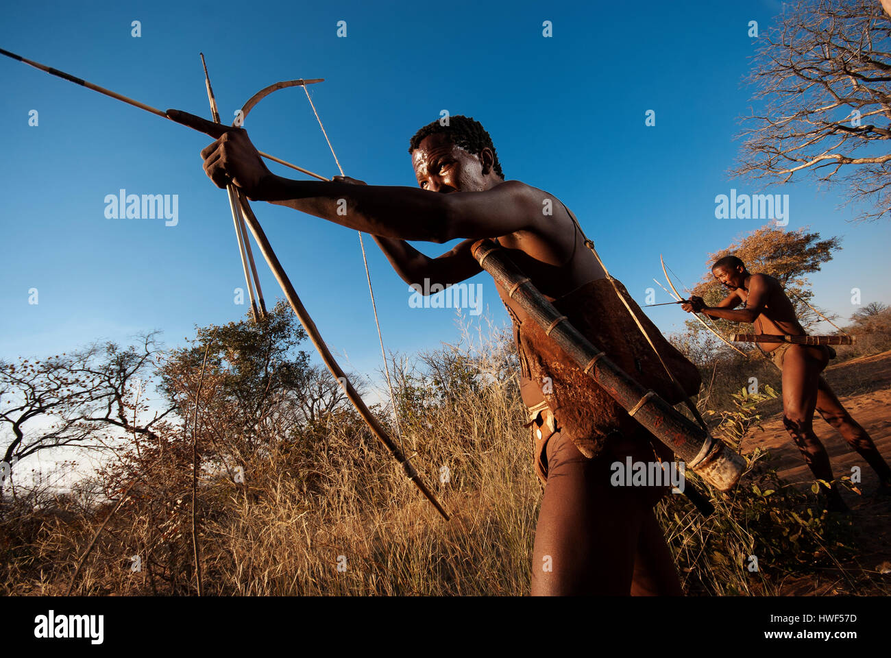 Bushmen with bow and arrow hi-res stock photography and images - Alamy