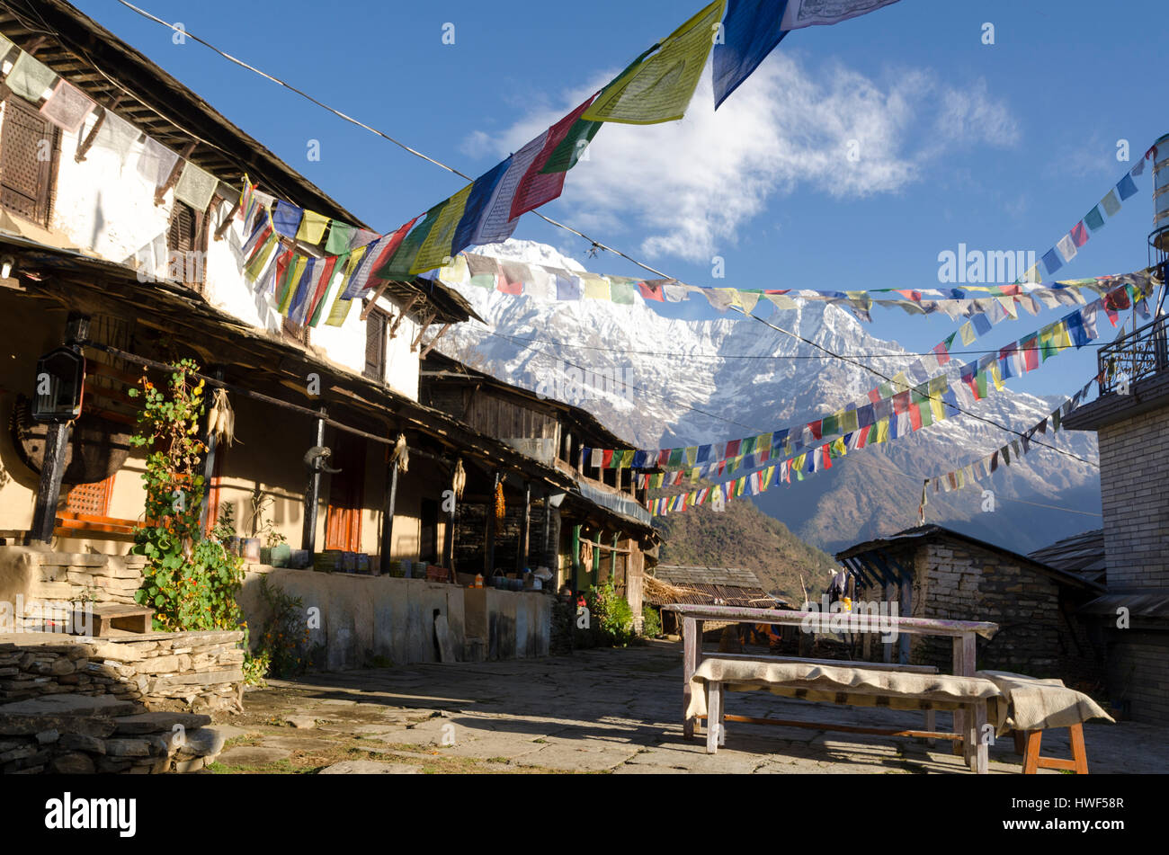 Photos from travelling around beautiful Ghandruk Village of Nepal near ...