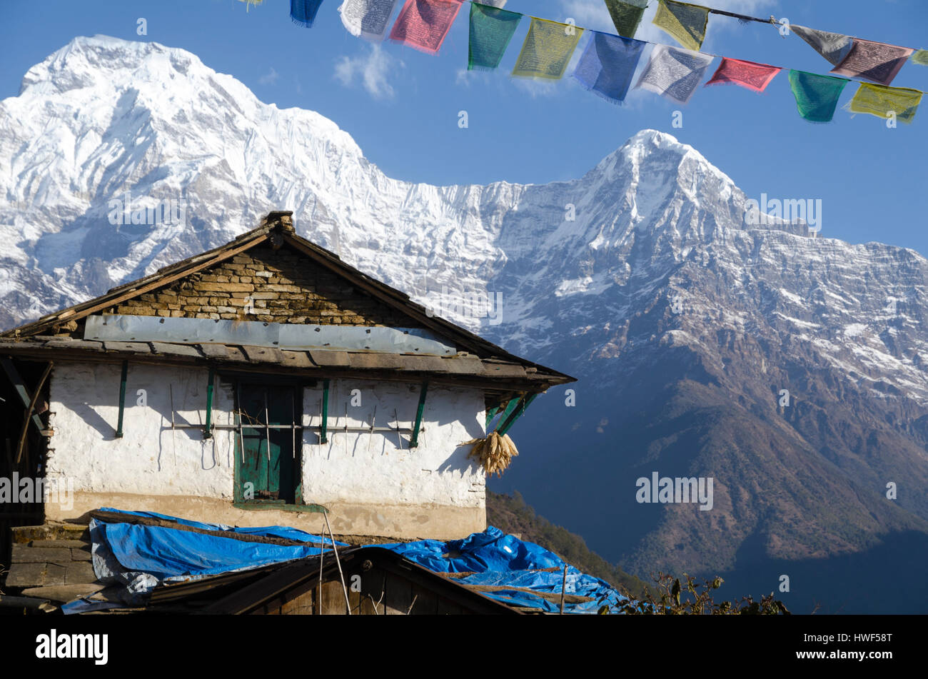 Photos from travelling around beautiful Ghandruk Village of Nepal near ...