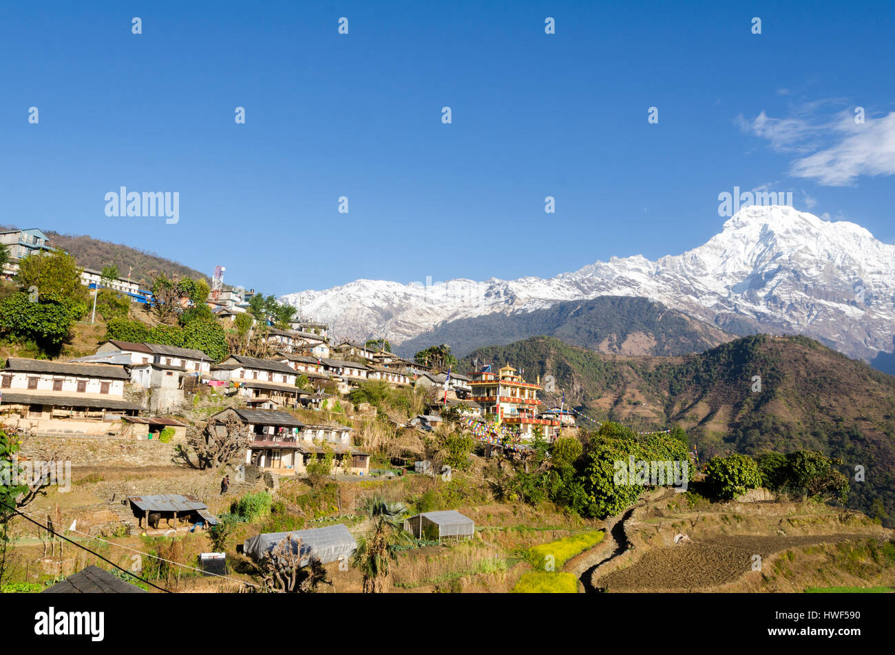 Photos from travelling around beautiful Ghandruk Village of Nepal near ...