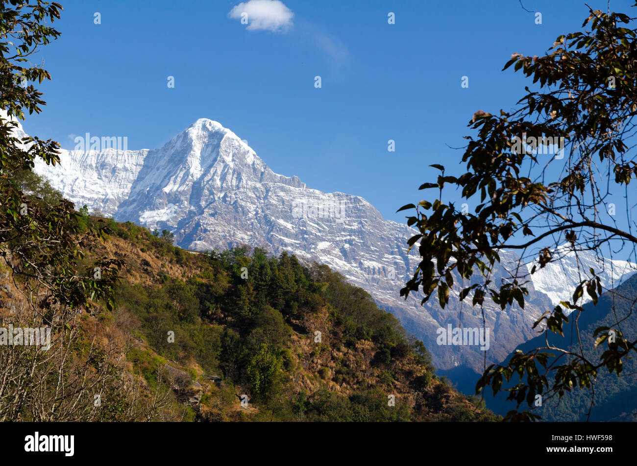 Photos from travelling around beautiful Ghandruk Village of Nepal near ...