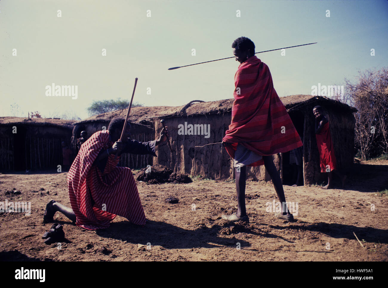 Kenya tribe lion hi-res stock photography and images - Alamy