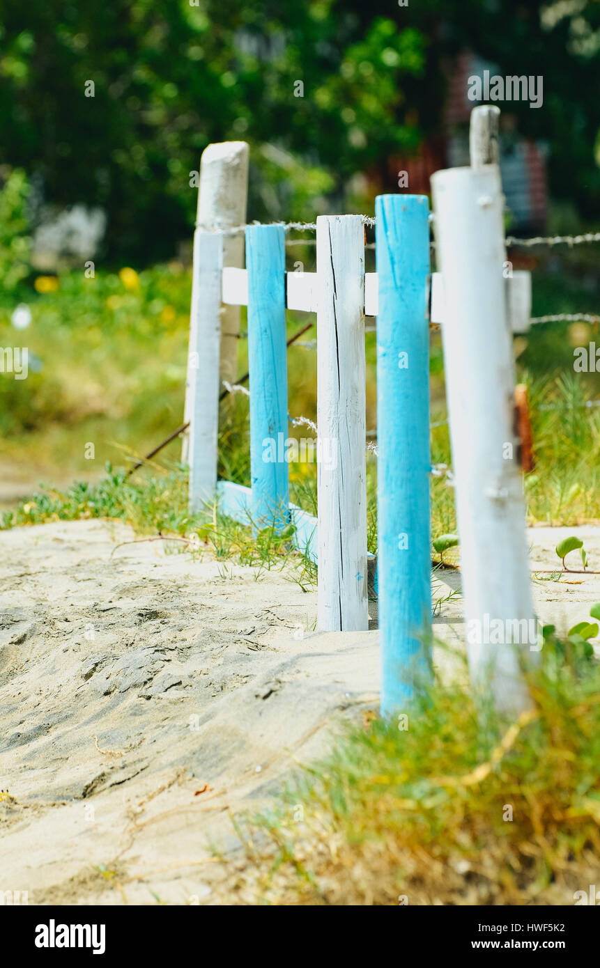 Fence posts on a beach with sand and grass. The colors are alternative ...