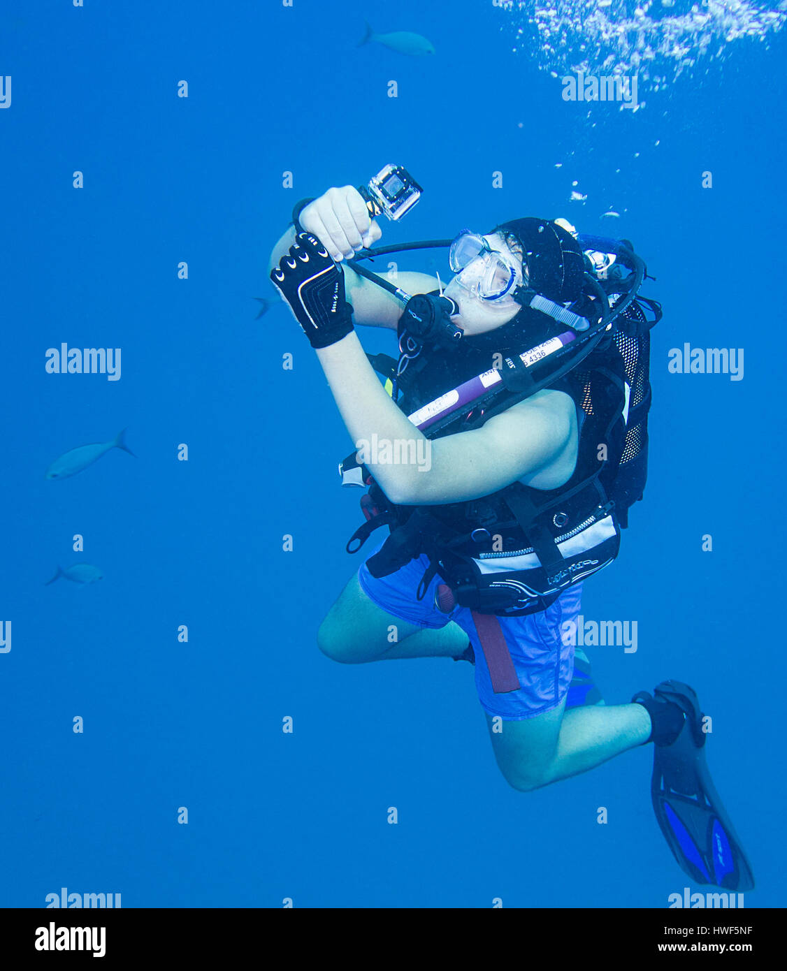 Scuba diving with fish hi-res stock photography and images - Alamy