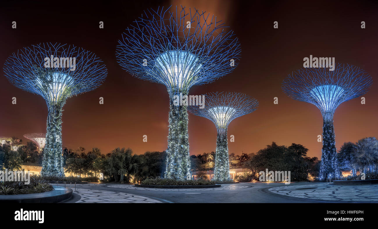The Supertree, Singapore Stock Photo - Alamy