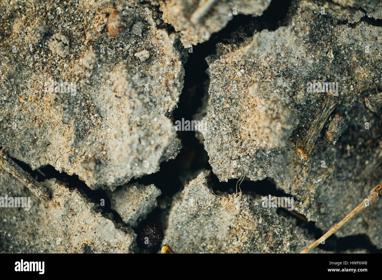 A close up of sand with some cracks. The focus is on the rest of the ...