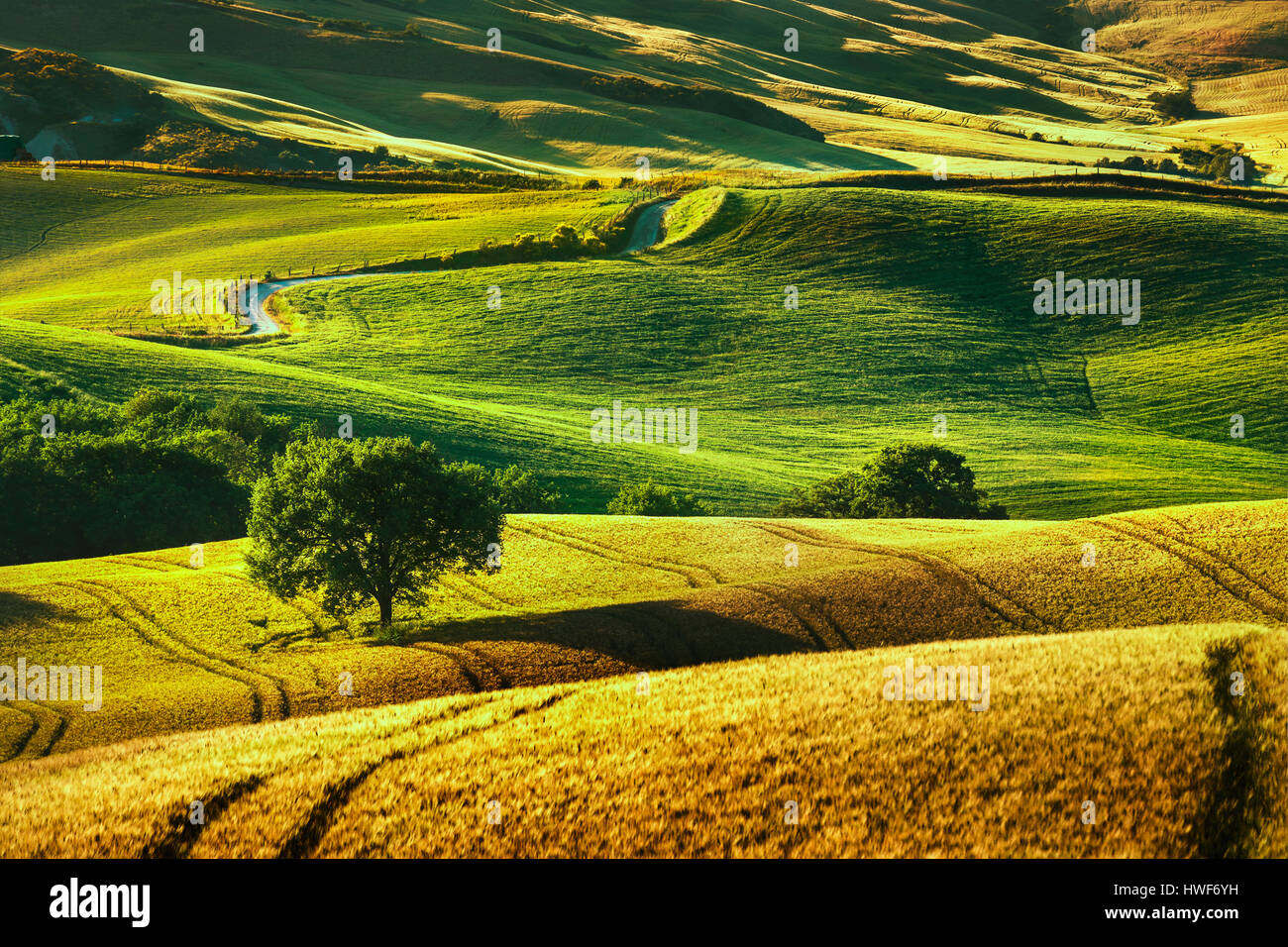 Tuscany spring, rolling hills on sunset. Volterra rural landscape ...