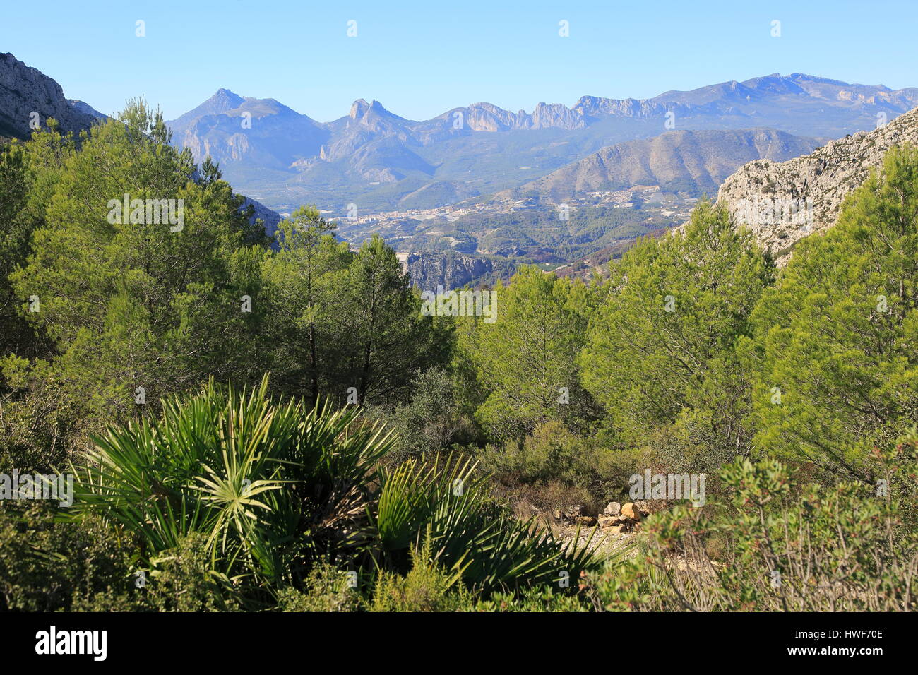 Jalon hi-res stock photography and images - Alamy