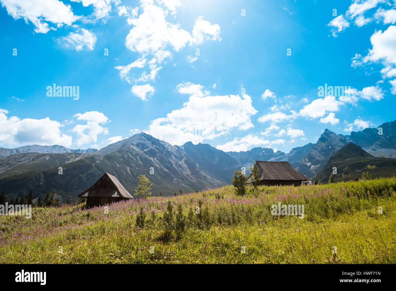 Summer view to Tatra Mountains national park in Zakopane Stock Photo ...