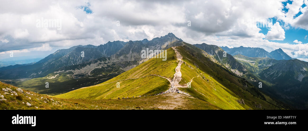 Summer view to Tatra Mountains national park in Zakopane Stock Photo ...