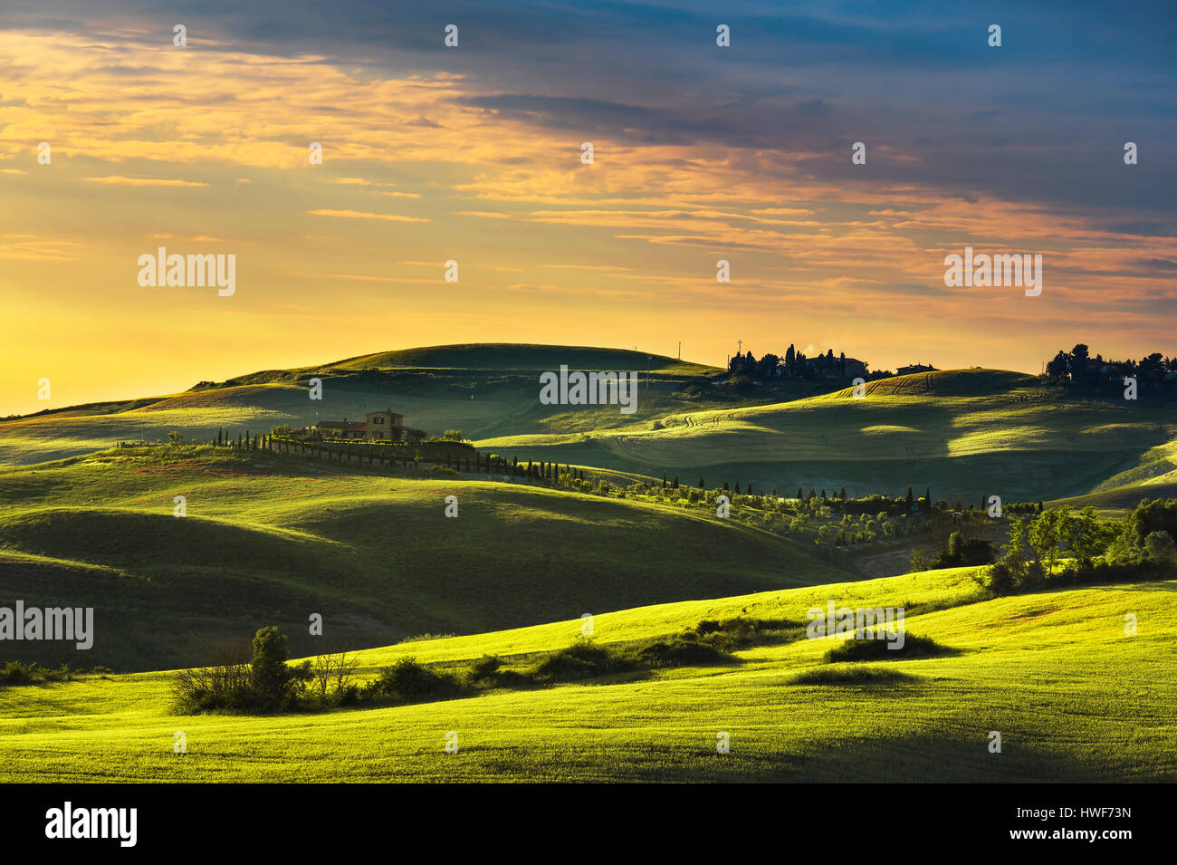 Tuscany spring, rolling hills on sunset. Rural landscape. Green fields ...