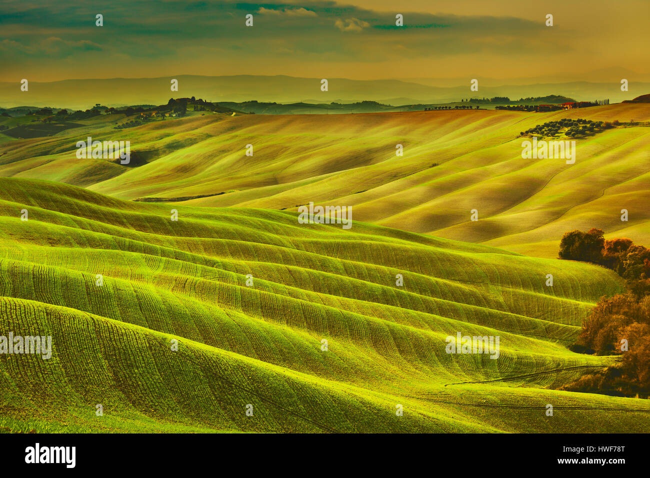 Tuscany spring, rolling hills on misty sunset. Rural landscape. Green ...