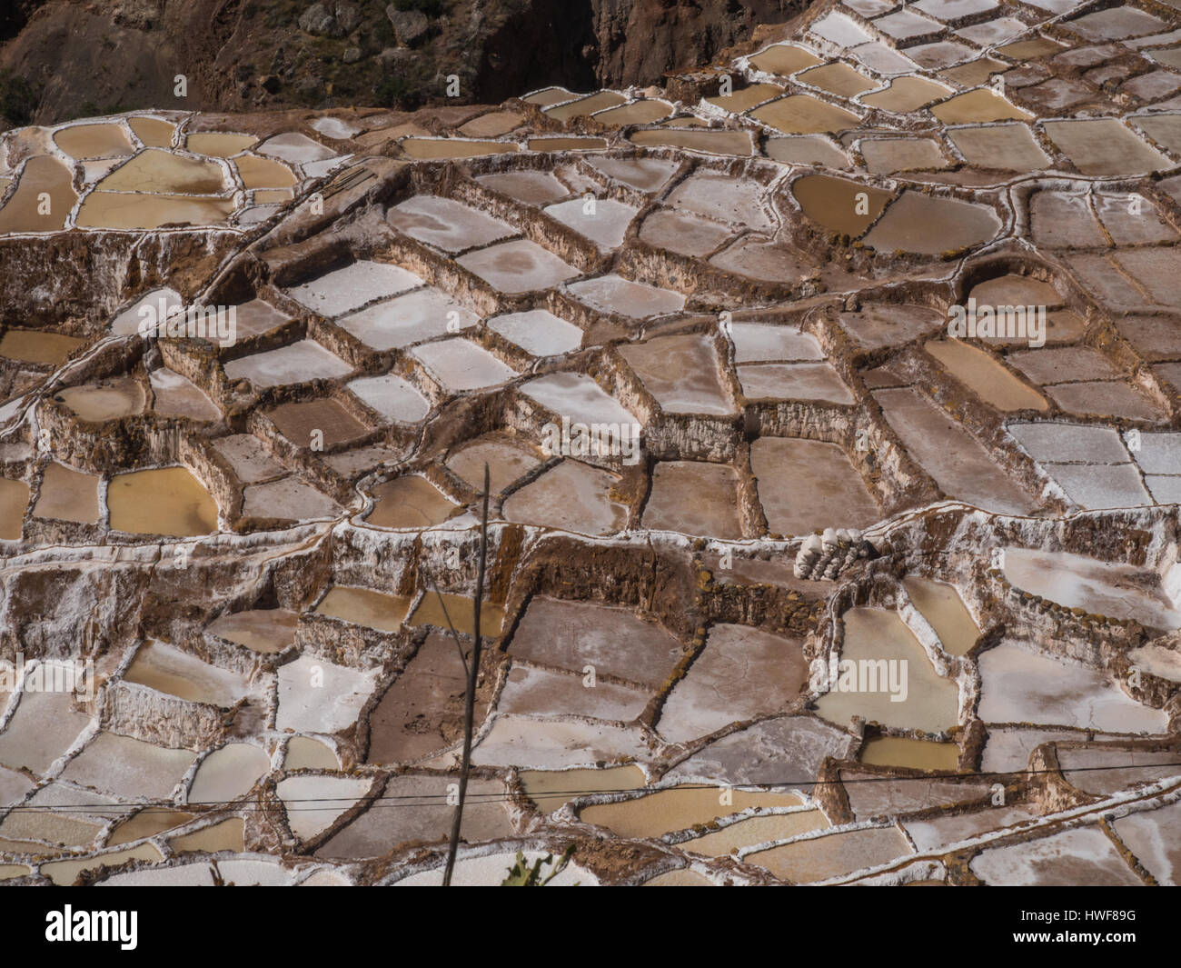 Salina de Maras, the traditional inca salt field in Maras near Cuzco in ...